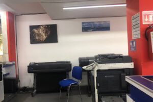 Lumen Polanco en Miguel Hidalgo 🖨️